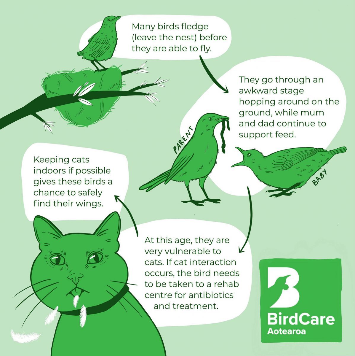 Knowledge Base - BirdCare Aotearoa