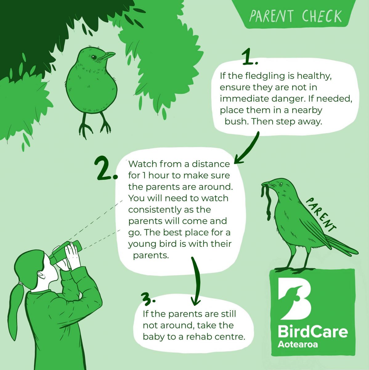 Frequently asked questions - BirdCare Aotearoa