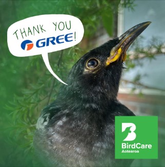 Huge appreciation to Gree NZ and Realcold - BirdCare Aotearoa