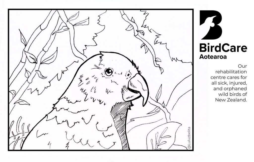 Colouring Sheets - BirdCare Aotearoa